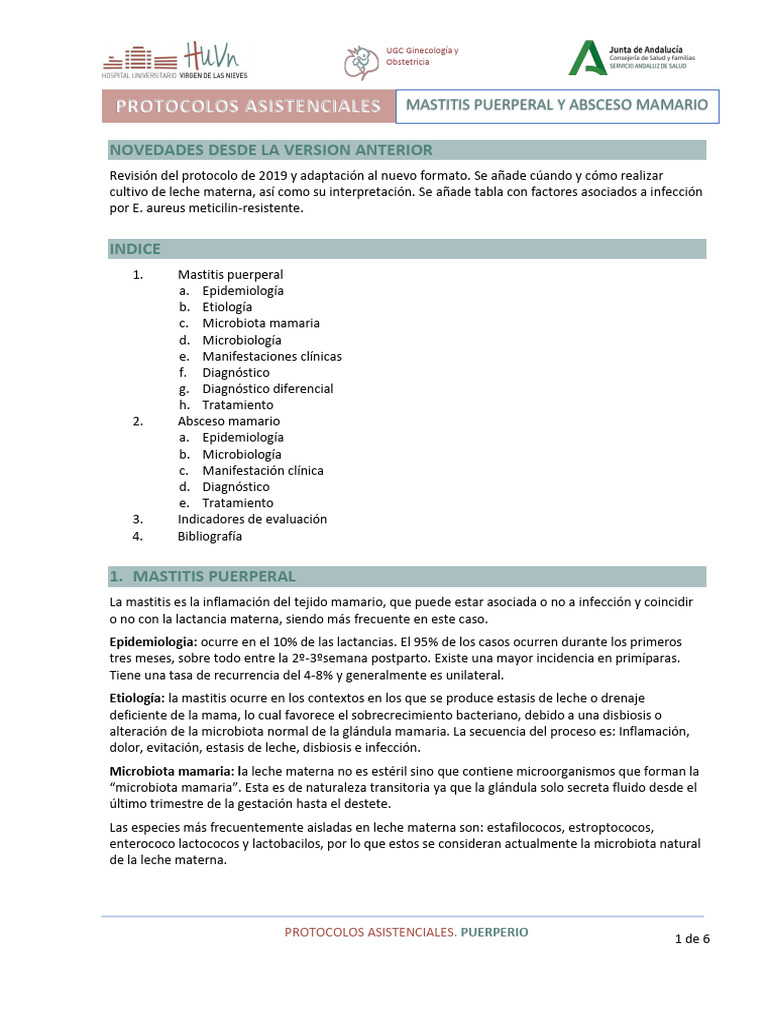 Protocolo Mastitis 2024 | PDF | Especialidades Medicas | Medicina CLINICA