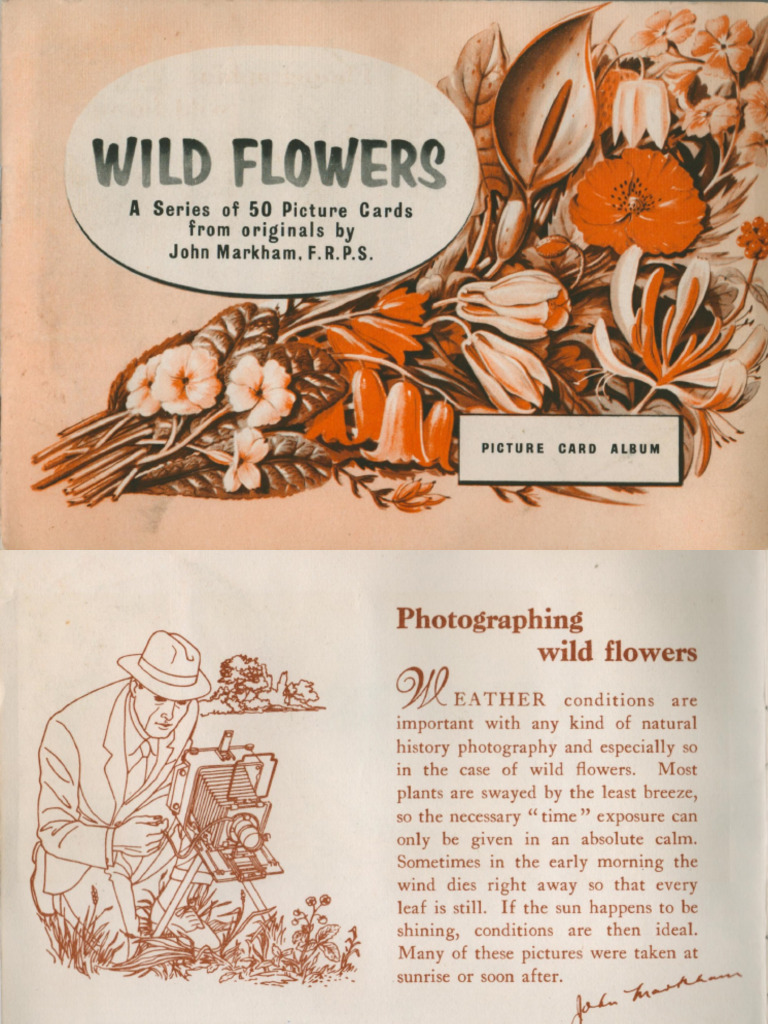 Wild Flowers 1955 (Brooke Bond) | PDF