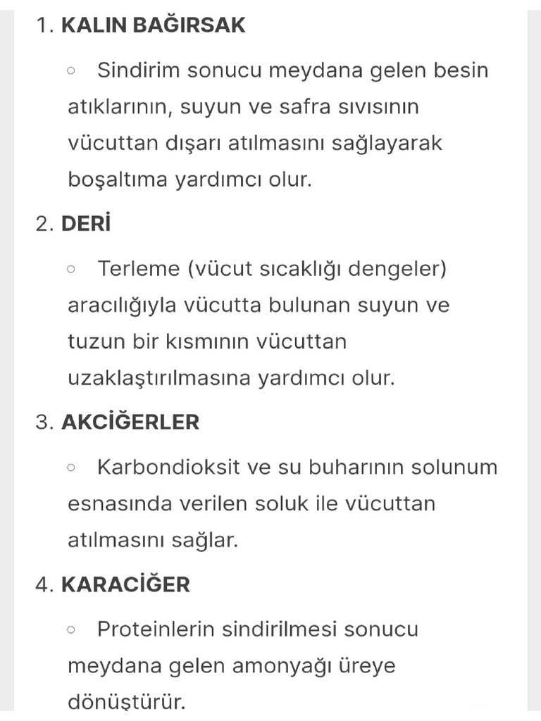 Image PDF 20250506 1255 | PDF