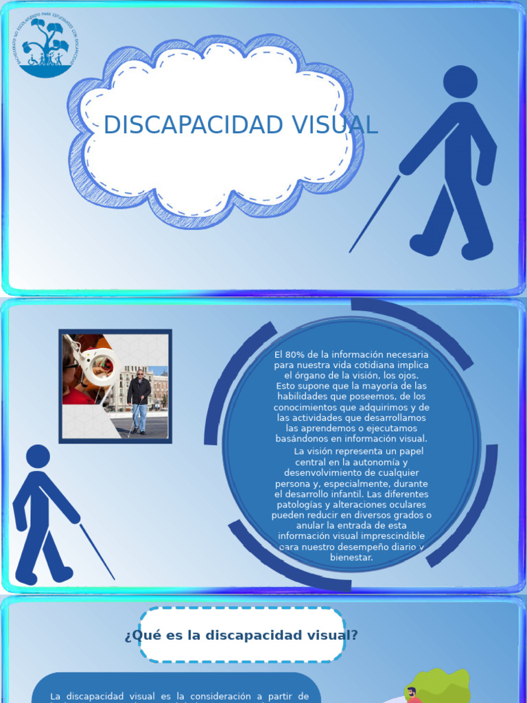 Discapacidad Visual | PDF | Discapacidad visual | Percepción visual