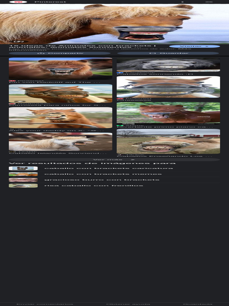 Caballo Con Brackets - Buscar Con Google | PDF