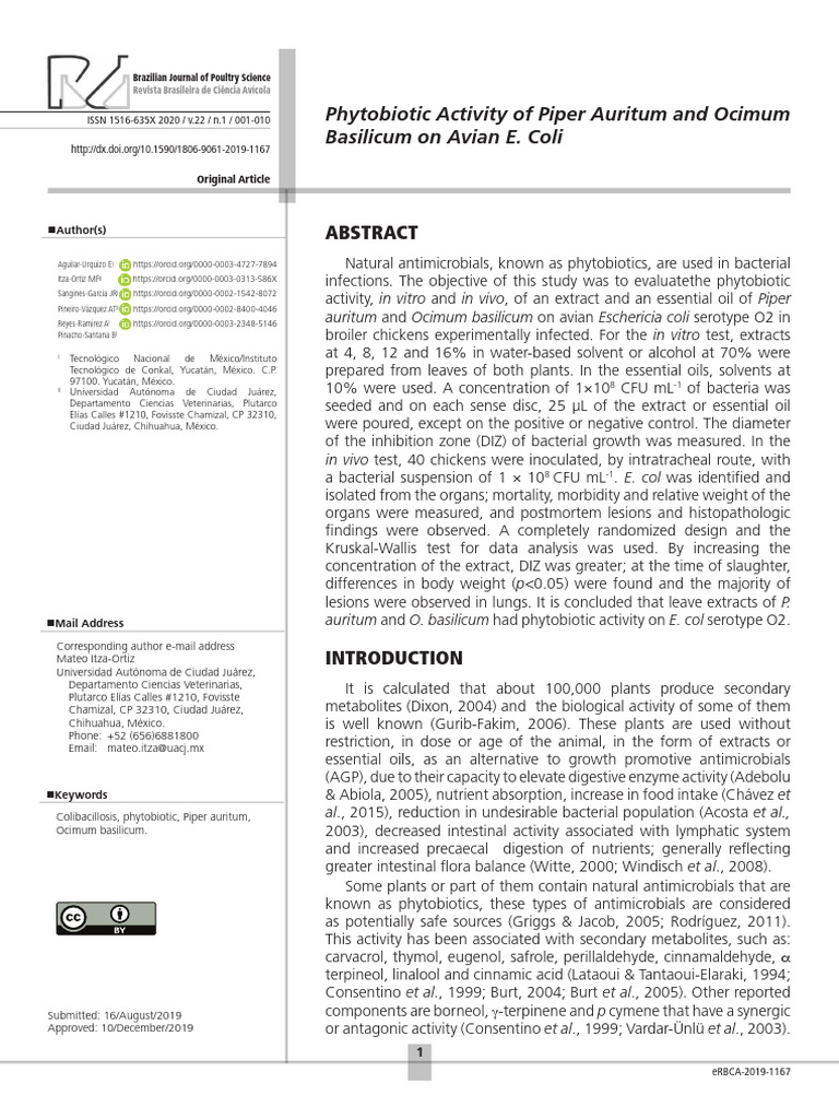 Phytobiotic Activity of Piper Auritum and Ocimum Basilicum On Avian E ...