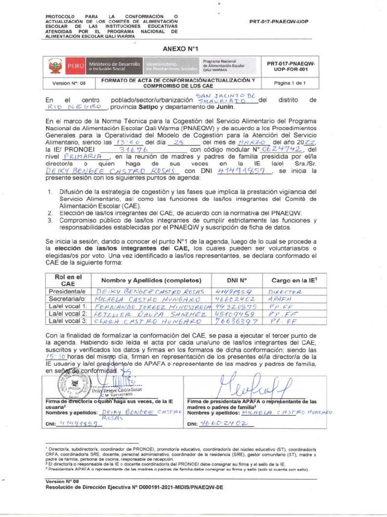 Actualización Cae 2022 - 31676 SJSH Primaria | PDF
