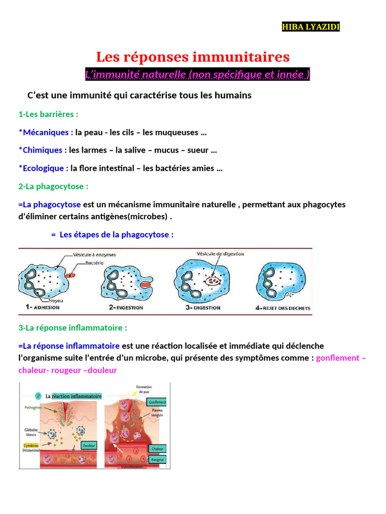 Les Réponses Immunitaires-1 | PDF | Système immunitaire | Lymphocyte