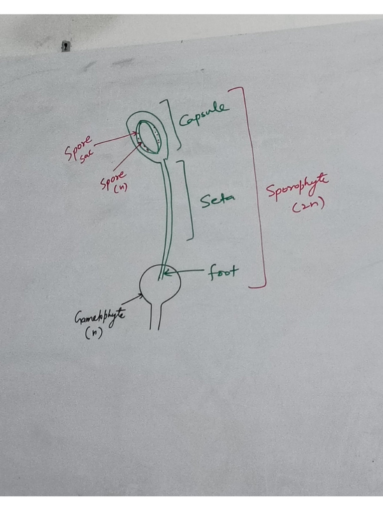 Image To PDF 20250519 23.42.55 | PDF