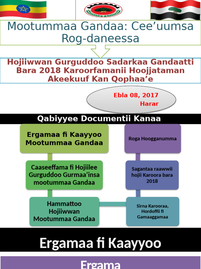 Ibsa Qophii Karoora Mootummaa Gandaa | PDF