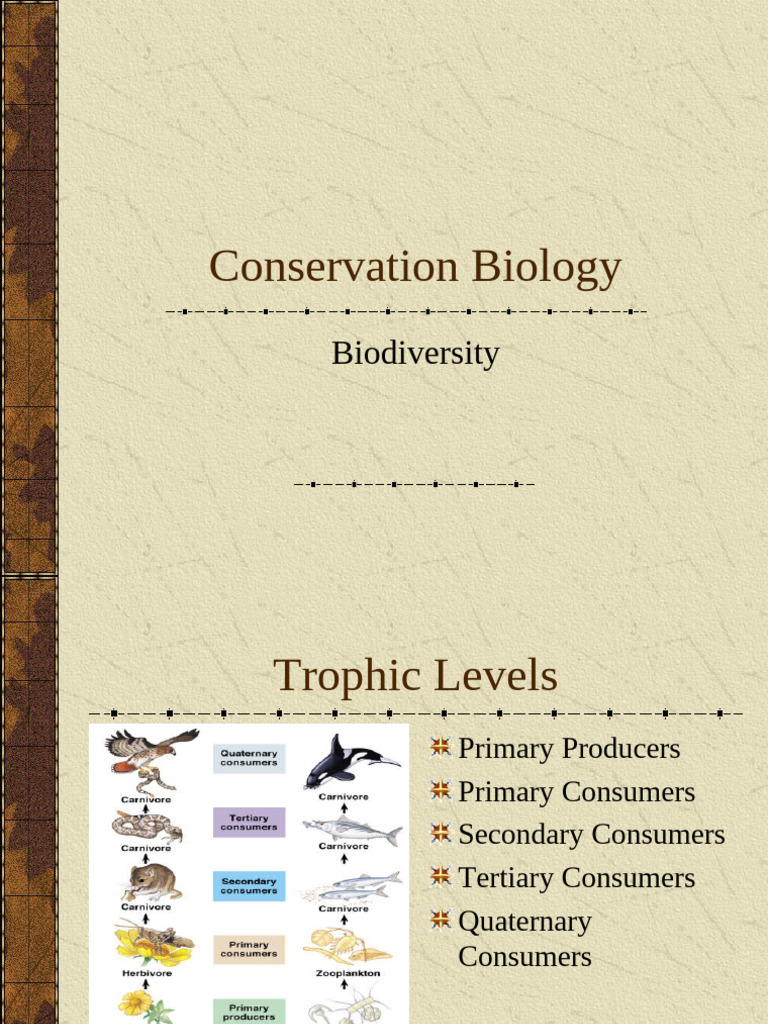 Biodiversity and Conservation Strategies | PDF | Biodiversity | Extinction