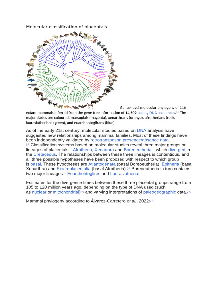 Molecular Classification | PDF
