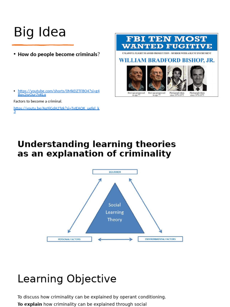 Operant Learning Theory | PDF | Reinforcement | Punishments