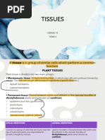 Plant Tissues Notes | PDF | Tissue (Biology) | Plant Stem