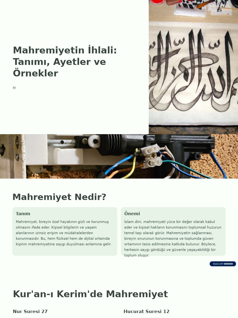 Mahremiyetin Ihlali Tanimi Ayetler Ve Ornekler 3 | PDF