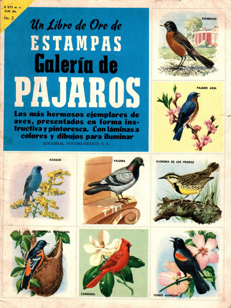 Un Libro de Oro de Estampas, Galeria de Pajaros 1957 (Novaro Mexico) | PDF