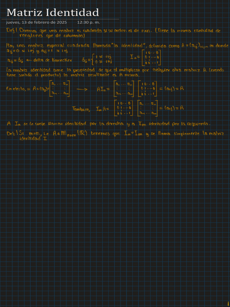 Matriz Identidad | PDF