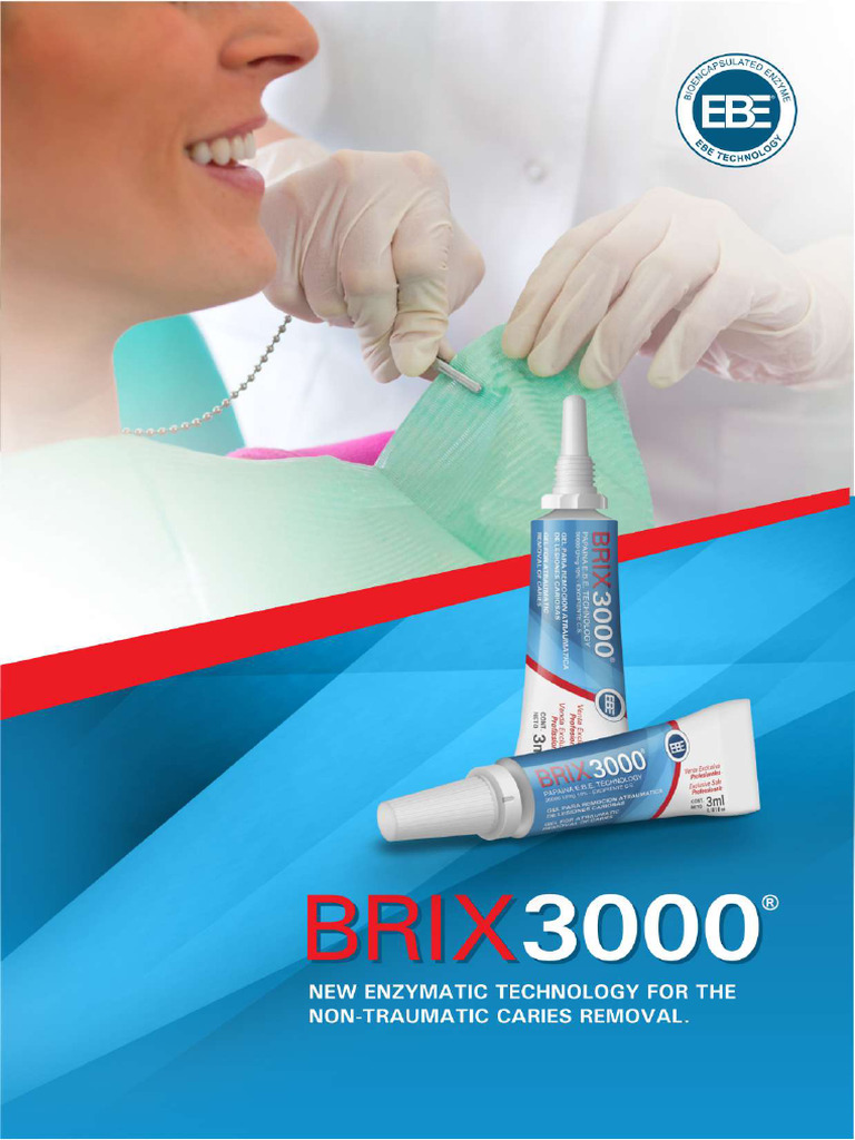 Brix 3000 Brochure - 2020 | PDF