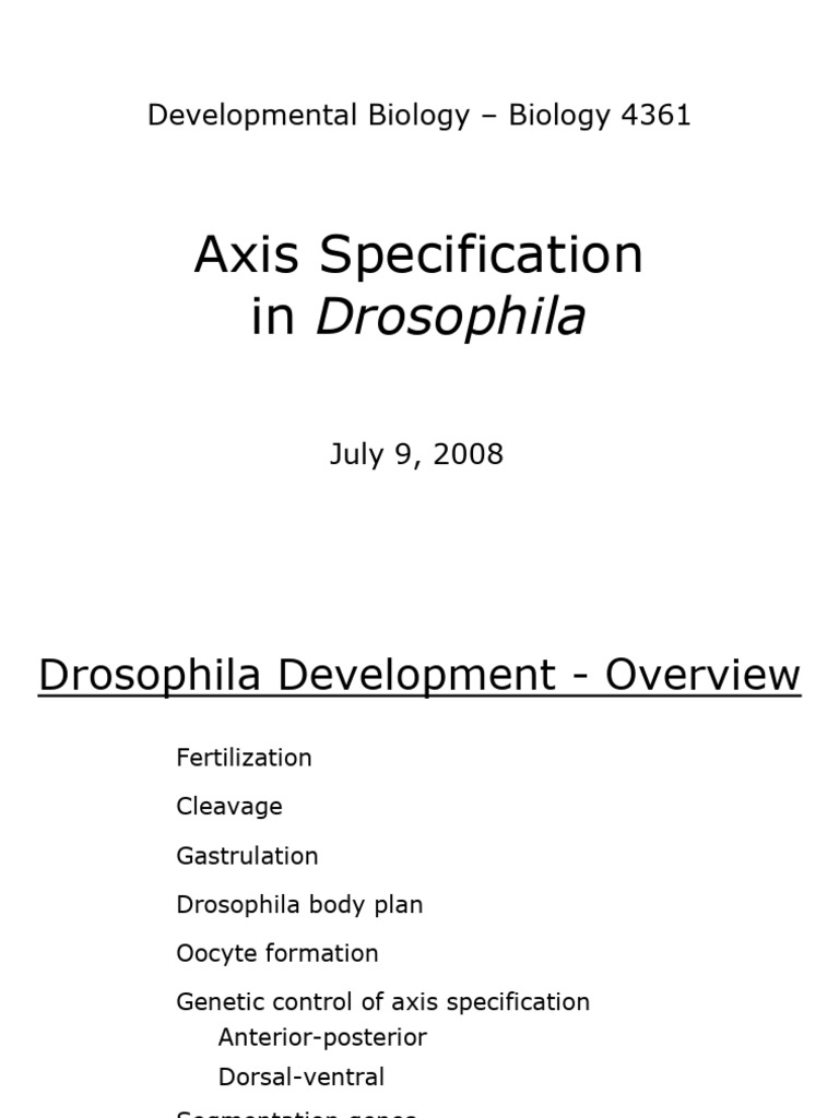 Drosophila Axis Specification Overview | PDF | Biochemistry | Chemistry