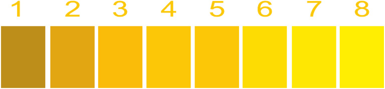 DEWALT 4,5 X 2,5 Prova de Cor | PDF