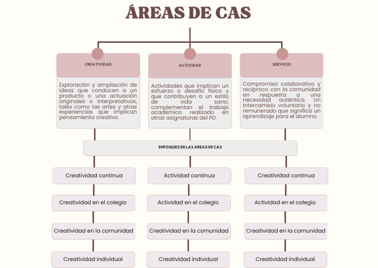 Áreas CAS | PDF