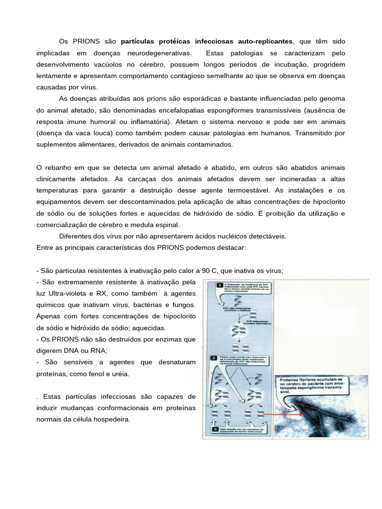 Prions Texto | PDF