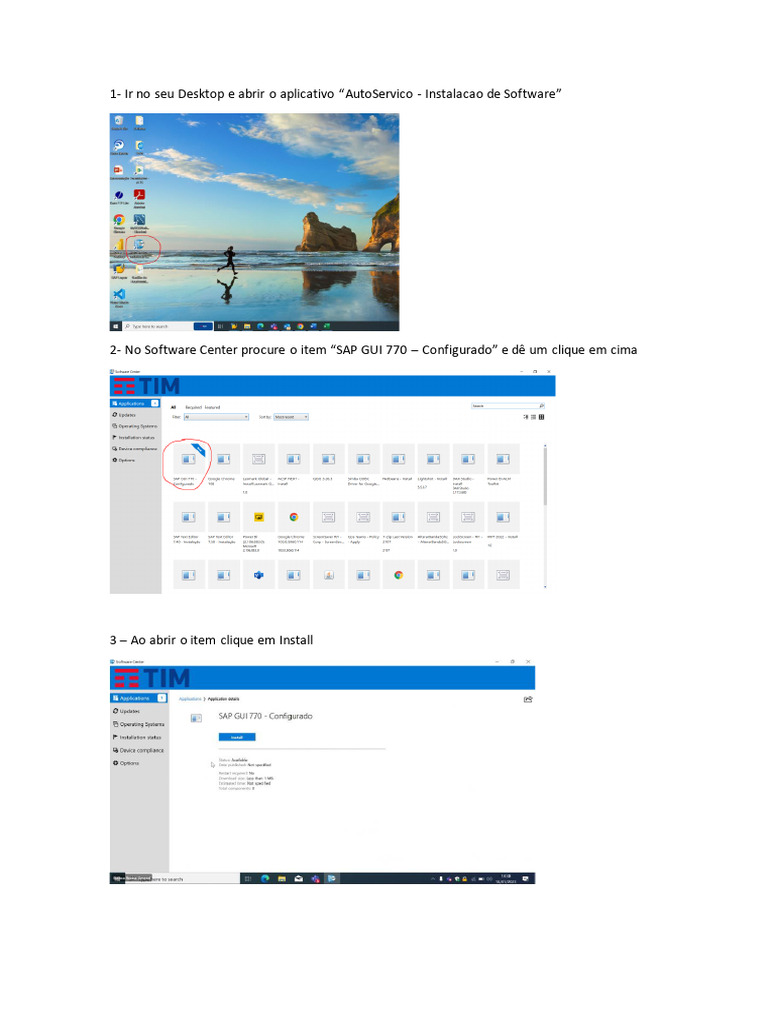 Instalação e Configuração do SAP GUI 770 | PDF