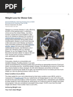 Rabbit Size-O-Meter Weight Guide | PDF | Obesity | Dieting