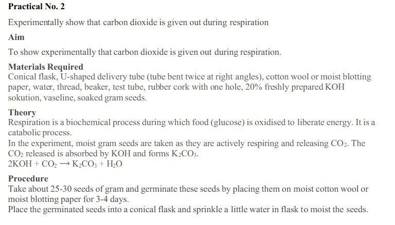 Screenshot 2025-05-20 003809 | PDF