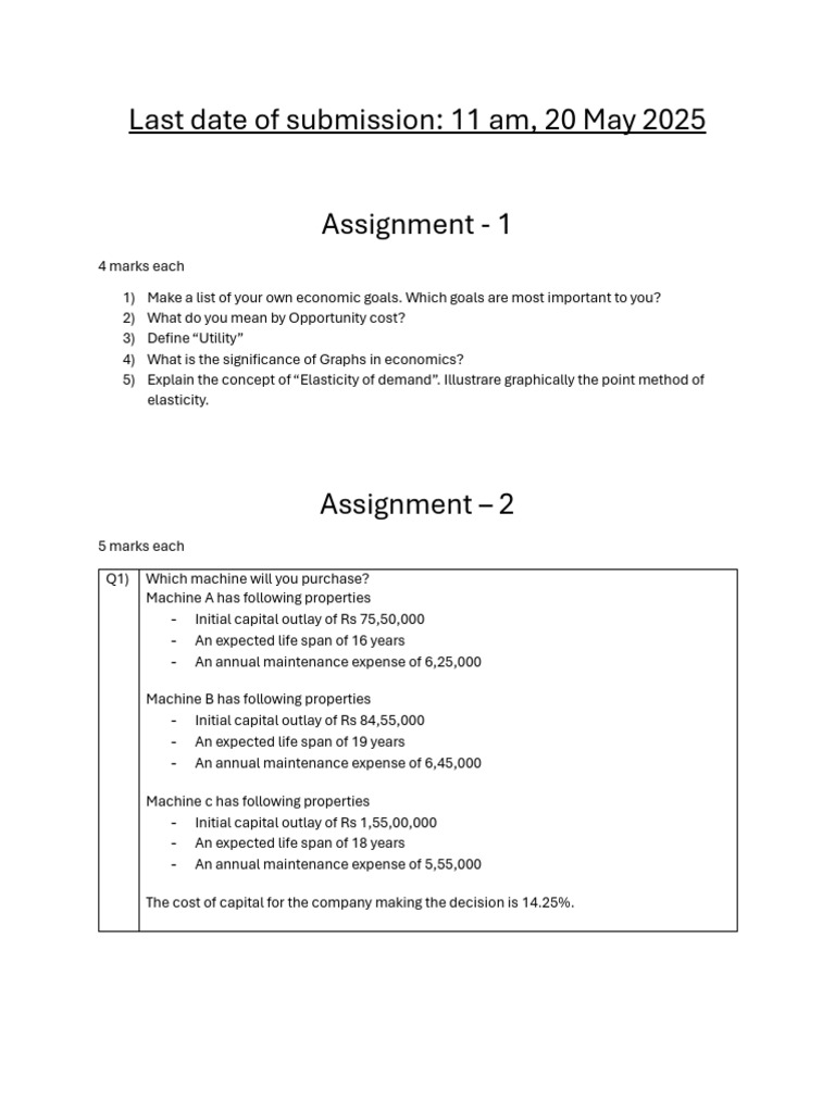 Assignment EEM | PDF