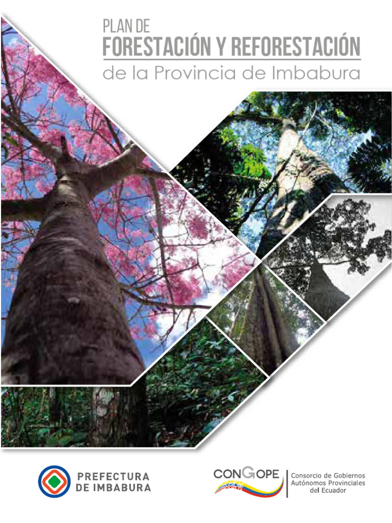 Congope Plan Forestal | PDF | Deforestación | Sustentabilidad