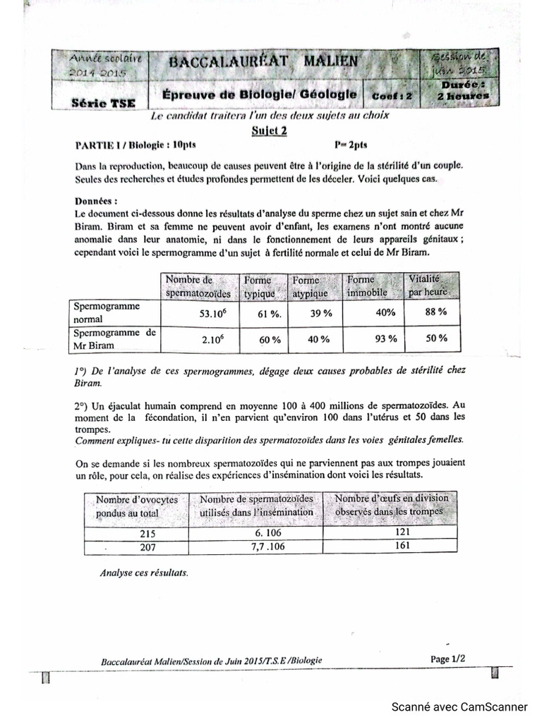 Bac 2015 TSE Sujet 2 | PDF