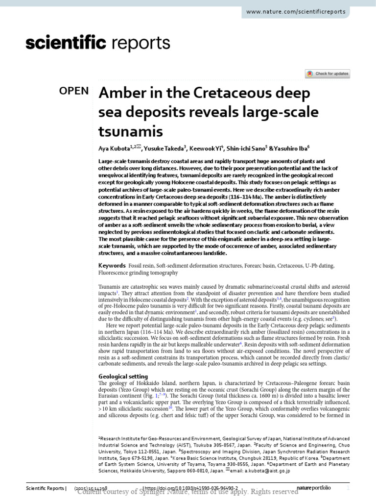Amber in The Cretaceous Deep Sea Deposits Reveals | PDF | Tsunami | Sedimentary Rock