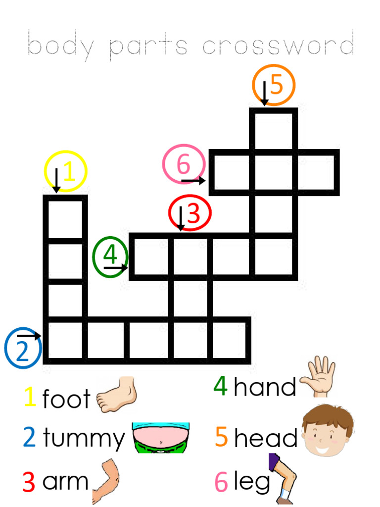 Body Parts Crossword | PDF