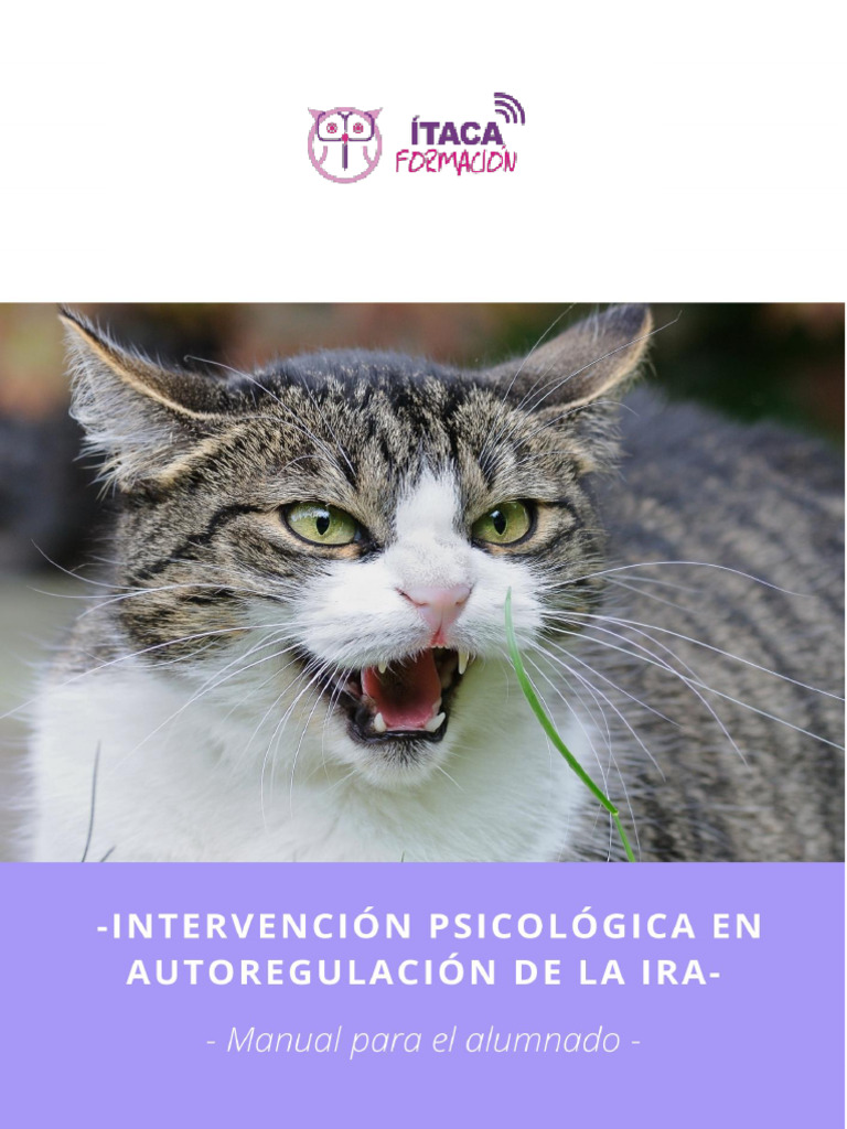 Manejo de la Ira: Intervenciones Efectivas | PDF | Terapia de conducta ...