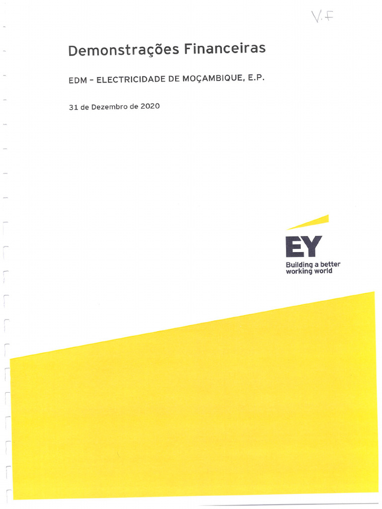 Mozambique - EDM Financial Statement - 2020 | PDF