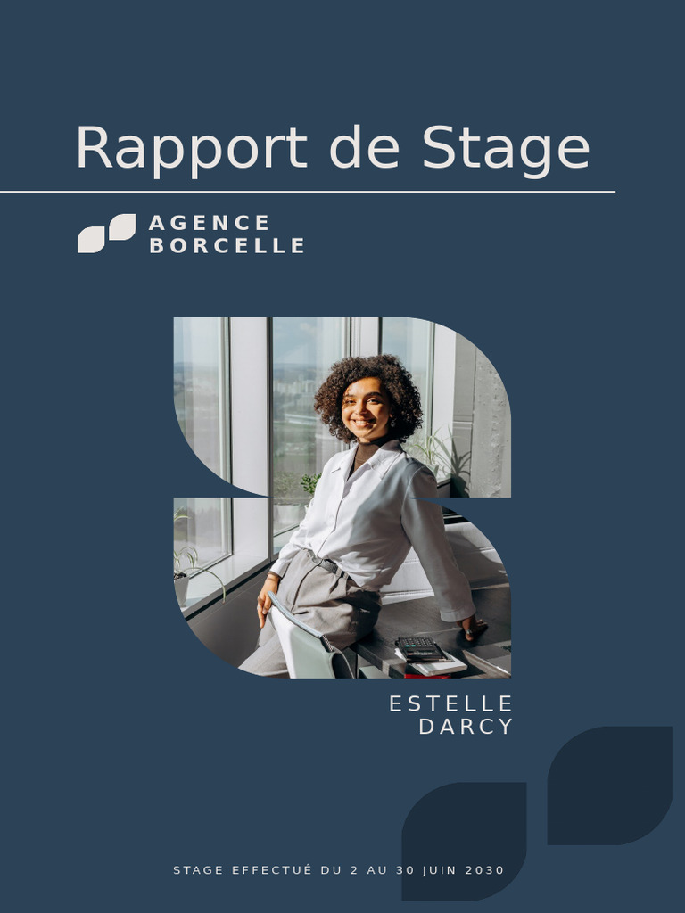Rapport de Stage en Marketing | PDF | Commercialisation | Média de masse