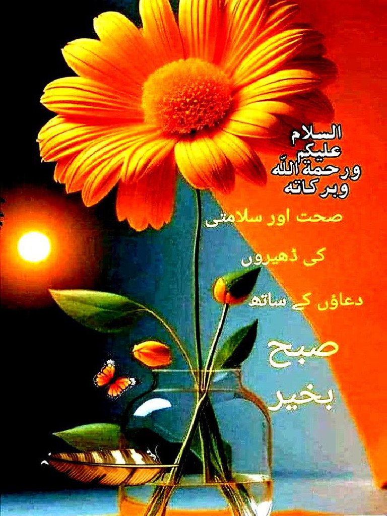 PDFReader 20250520 0211 | PDF