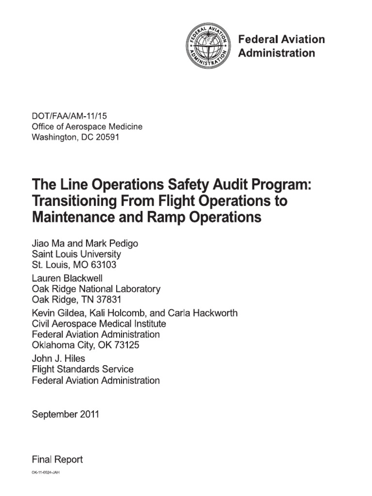 Line Oparation Safety Audit LOSA Program | PDF