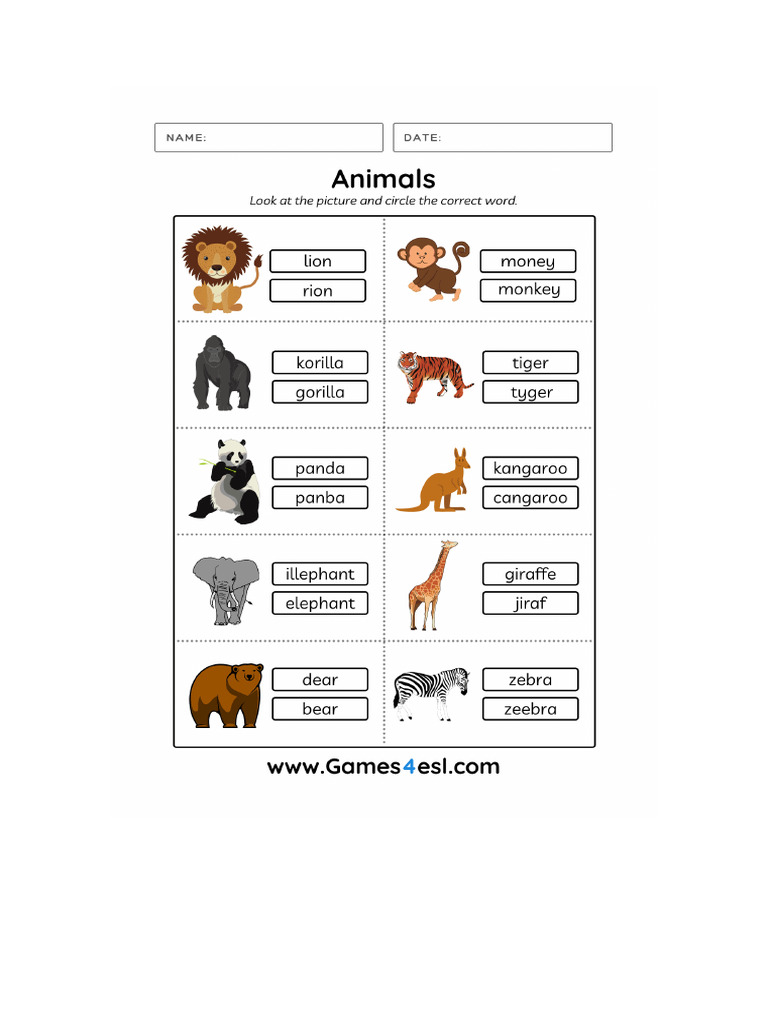 Animal Vocabulary Beginners | PDF