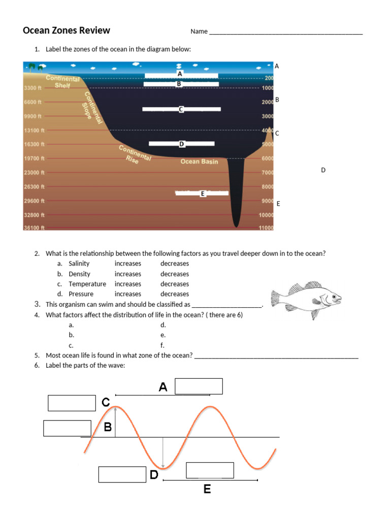Labeled Ocean Zones Diagram Guide | PDF | Oceans | Plankton