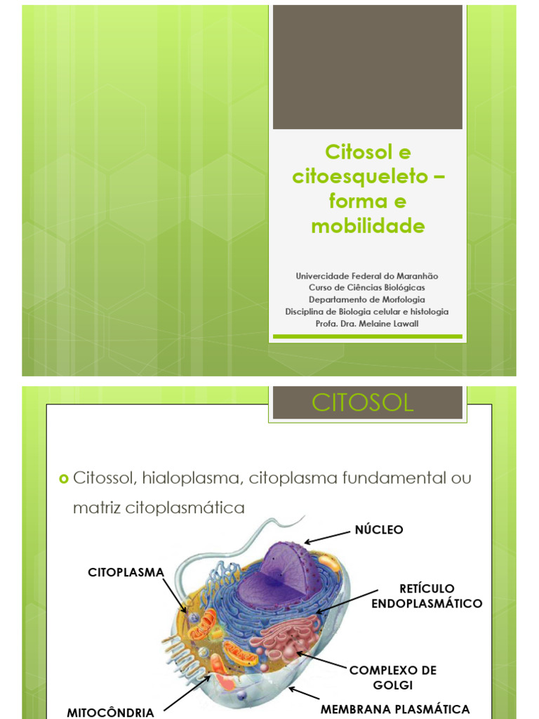Citosol e Citoesqueleto - Slides | PDF | Citosol | Citoesqueleto