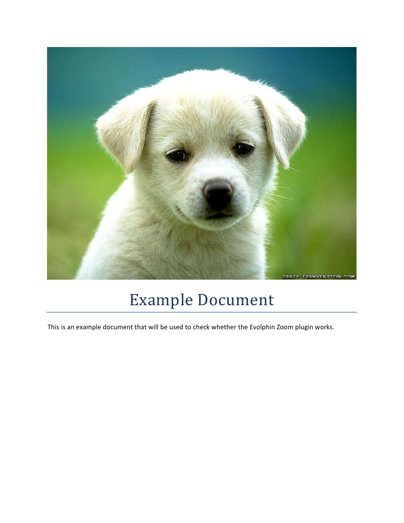 Example Document | PDF