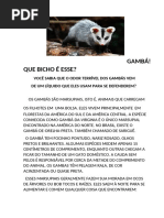 Vombate: Cocô em Forma de Cubo | PDF