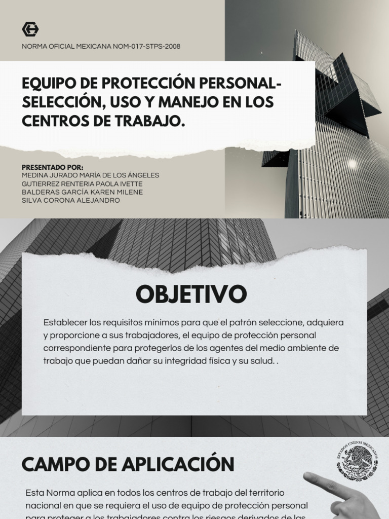 Nom 017 STPS 2008 | PDF