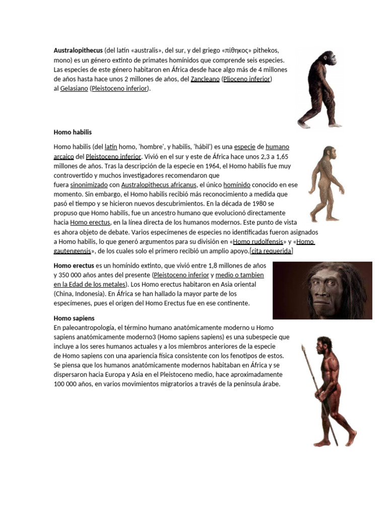 HOMOS | PDF | Homo | Humano