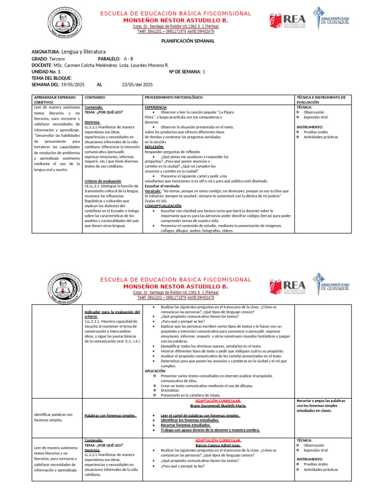 Planificación Lengua 3er Año | PDF | Aprendizaje | Educación primaria
