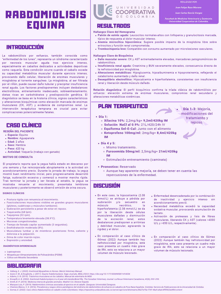 Rabdomiolisis - Juan Rozo & Juan Garcia | PDF | Enfermedades y ...