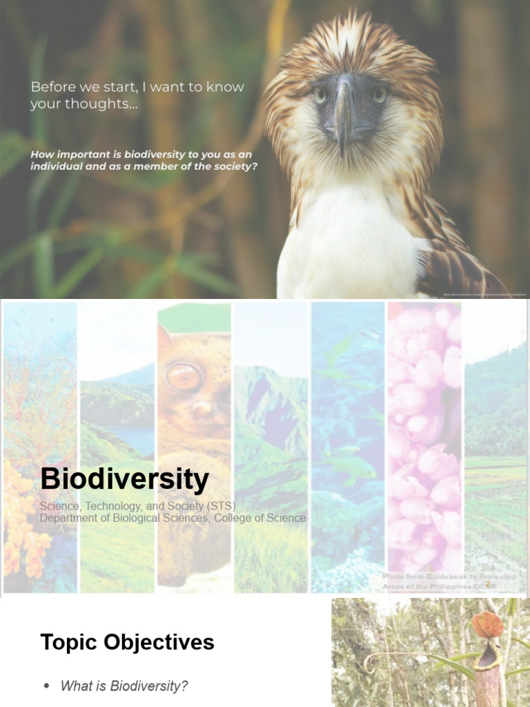 Biodiversity STS.pptx (1) | PDF | Biodiversity | Human Impact On The ...