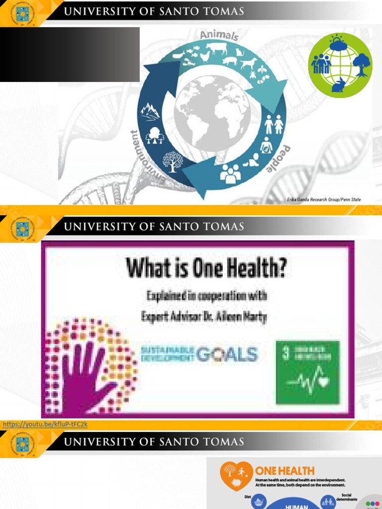 One Health: Integrating Human, Animal, and Environmental Health | PDF ...