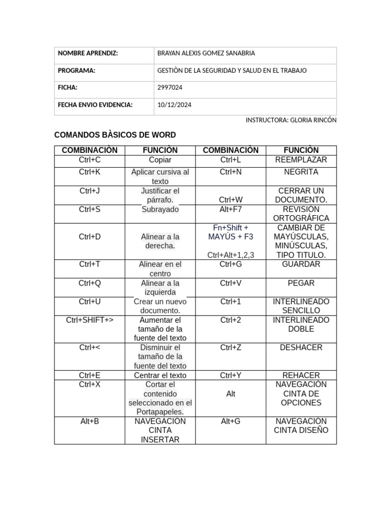 Comandos Básicos de Microsoft Word | PDF