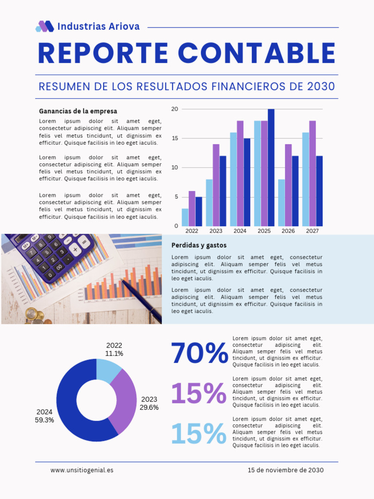 Informe Reporte Anual de La Empresa Corporativo Empresarial | PDF