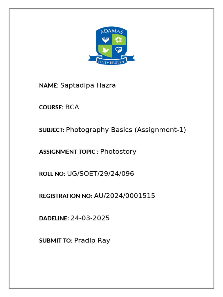 Photography Assignment | PDF