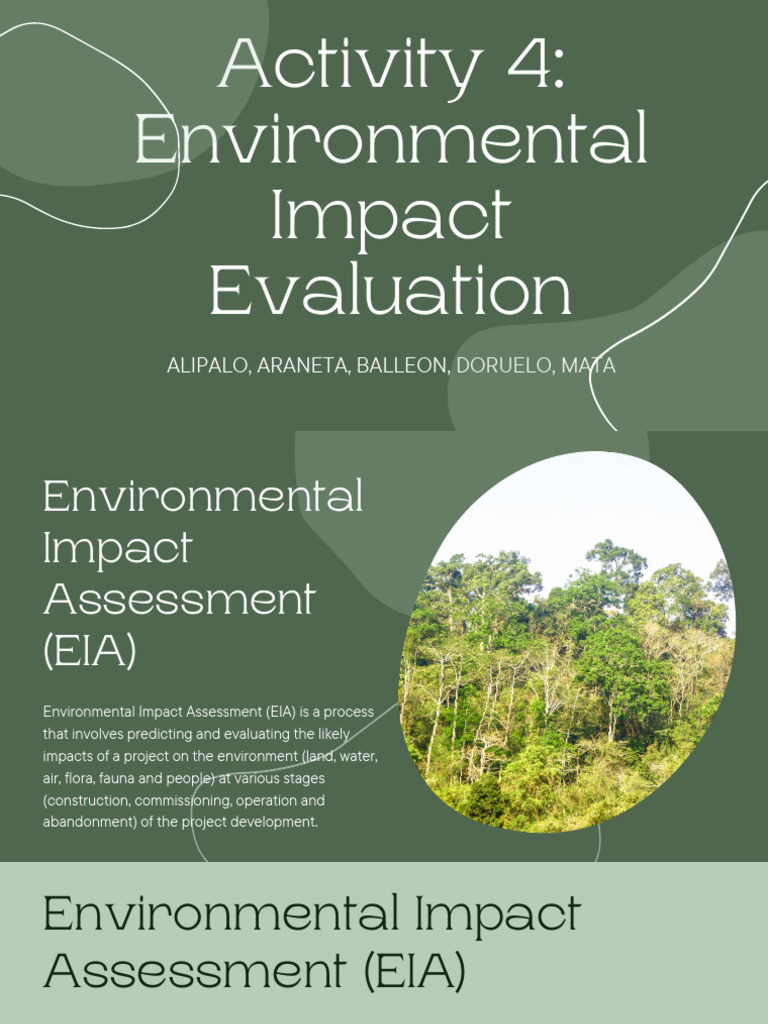 Activity 4 Environmental Impact Evaluation | PDF | Environmental Impact ...